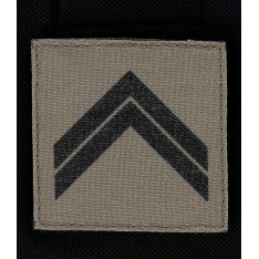 French Army School Beret Badge - Ares