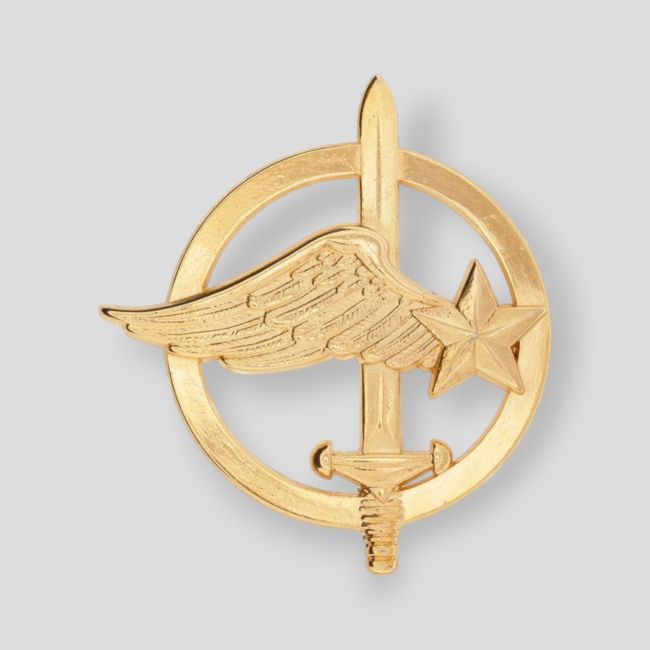 Insígnia de Boina Comando do Ar - Ares