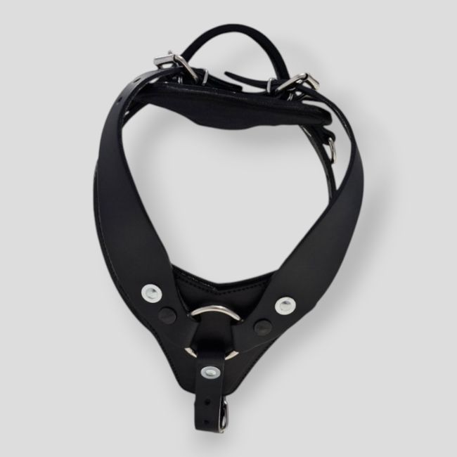 Working harness with large breastplate and handle - Scorpion