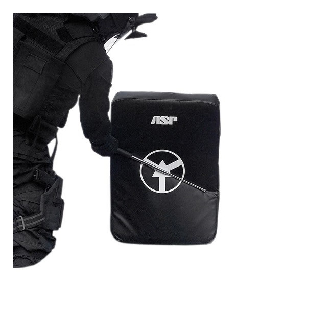 Sacco di allenamento per manganello - ASP - vetsecurite.com